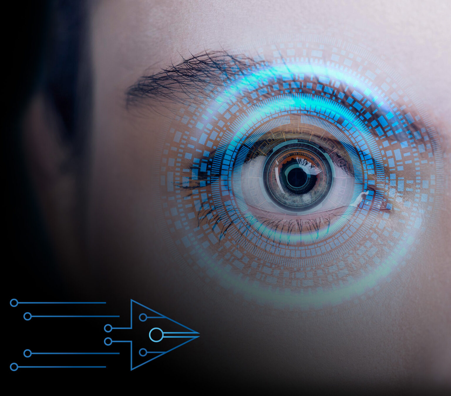 Digital Vision – Building Your Online Future